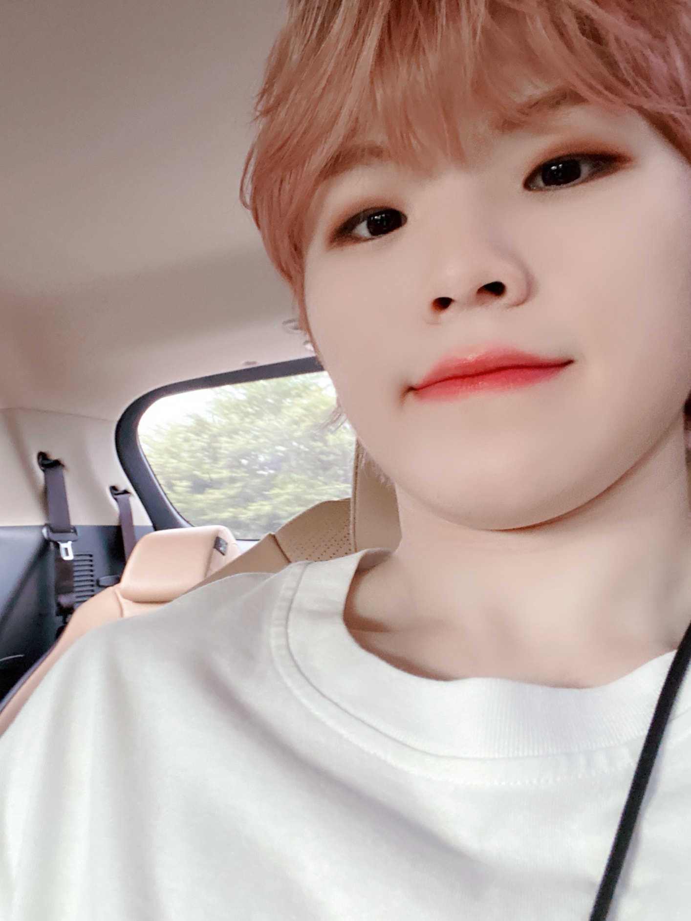 SEVENTEEN 커뮤니티 포스트 - 🎀🎡 - WOOZI