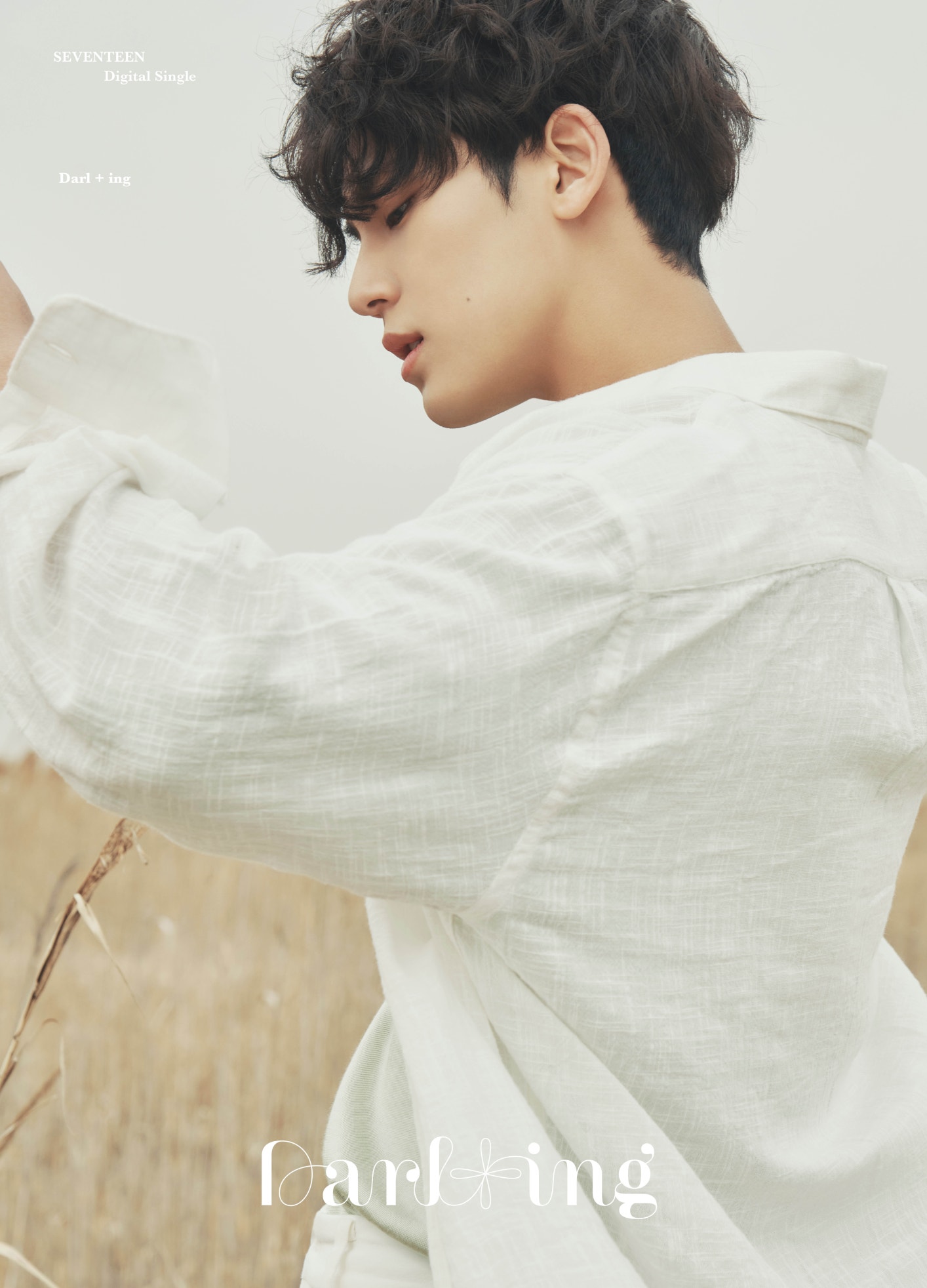 SEVENTEEN (세븐틴) Digital Single 'Darl+ing' Concept Photo 2 #MINGYU #THE8 ...