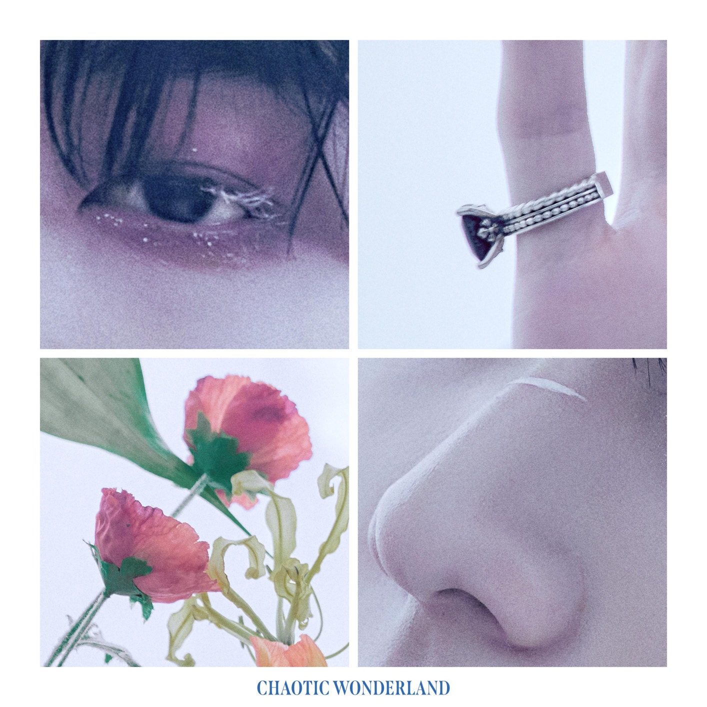 Chaotic Wonderland - 'ZERO'