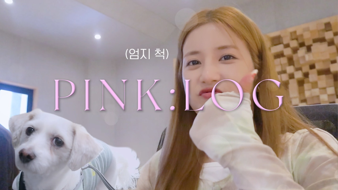 [PINK:LOG] EP.4 초봄 앨범 준비💿 with.설탕 (카피캣 녹음🎙+뮤비 미팅🎬+왓츠 인 마이 냉장고😻)