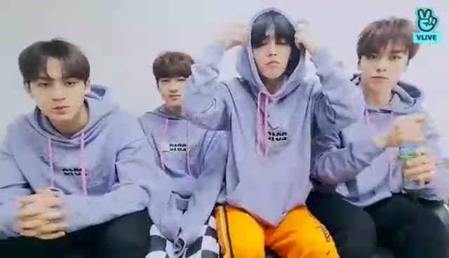 🎊 CARAT LAND Day 1 🎊