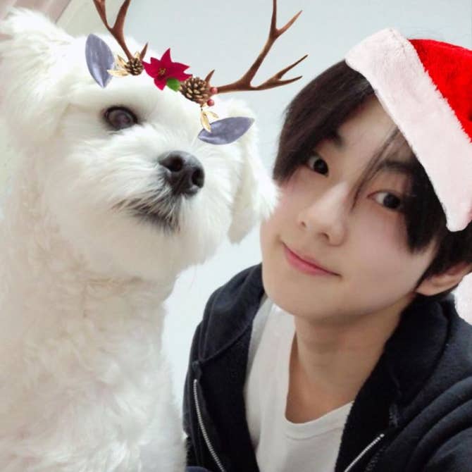 ENHYPEN Community Posts - its almost Christmas here some Christmas PFP 🤧🫶💓