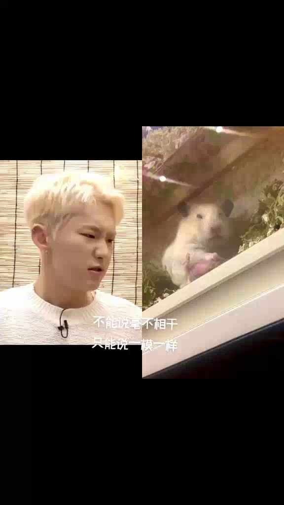 SEVENTEEN Community Posts - Hoshi呀! 虽然很抱歉，但是真的很像😭