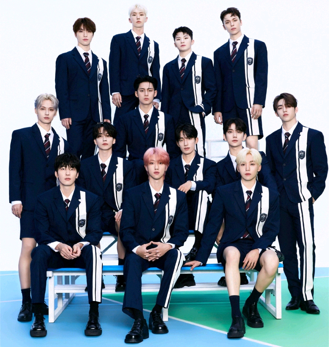 啊啊啊啊捣鼓了半天，终于可以登录wvs了...