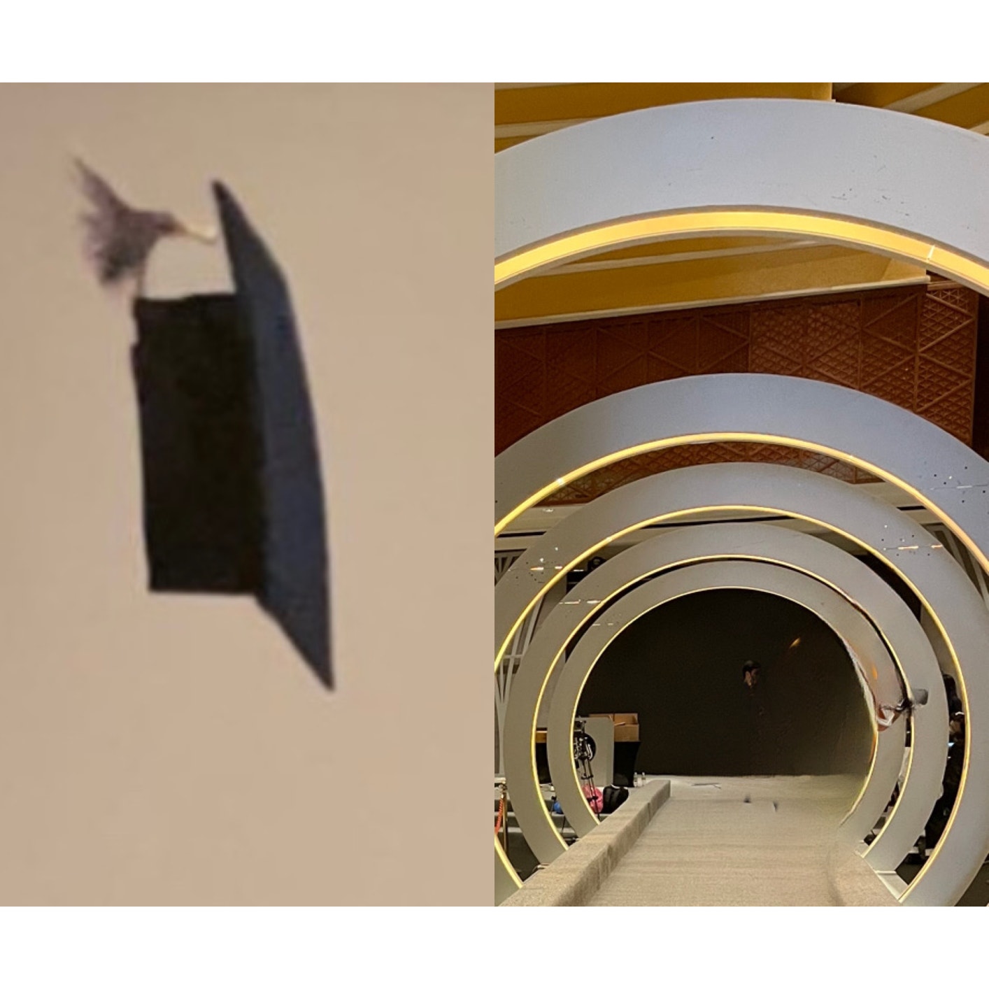 BTS Community Posts - AND HERE COMES MY GRADUATION DAY AFTER YEARS OF ...