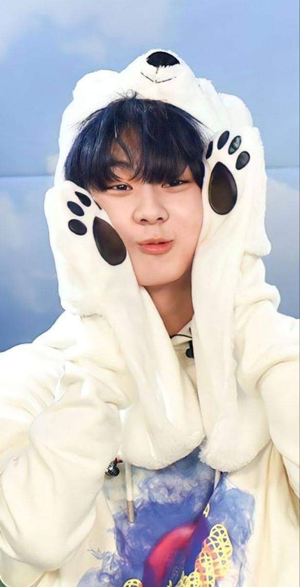 ENHYPEN Community Posts - To enhypen's best leader and cutest cat, I am ...