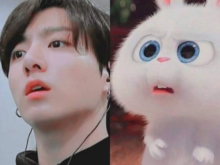 BTS Community Posts - 😄😄 Cute Bunny 🐰🥰🥰💜💜💜💜🇪🇬😊